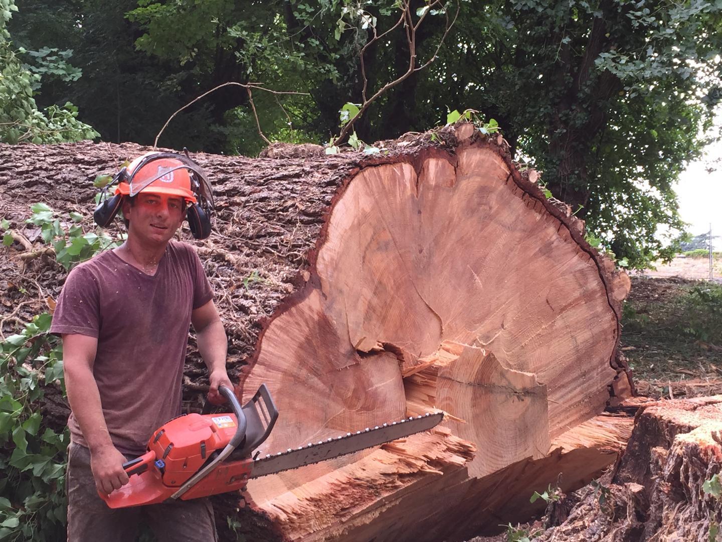 Abattage Clermont-Ferrand - AUVERGNE DÉBOISEMENT - Thiers, Bromont-Lamothe